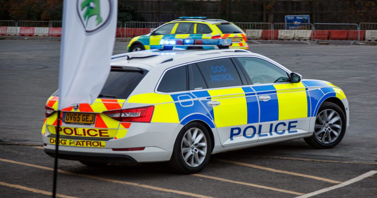 Testing The Skoda Superb Estate Police Dog Car