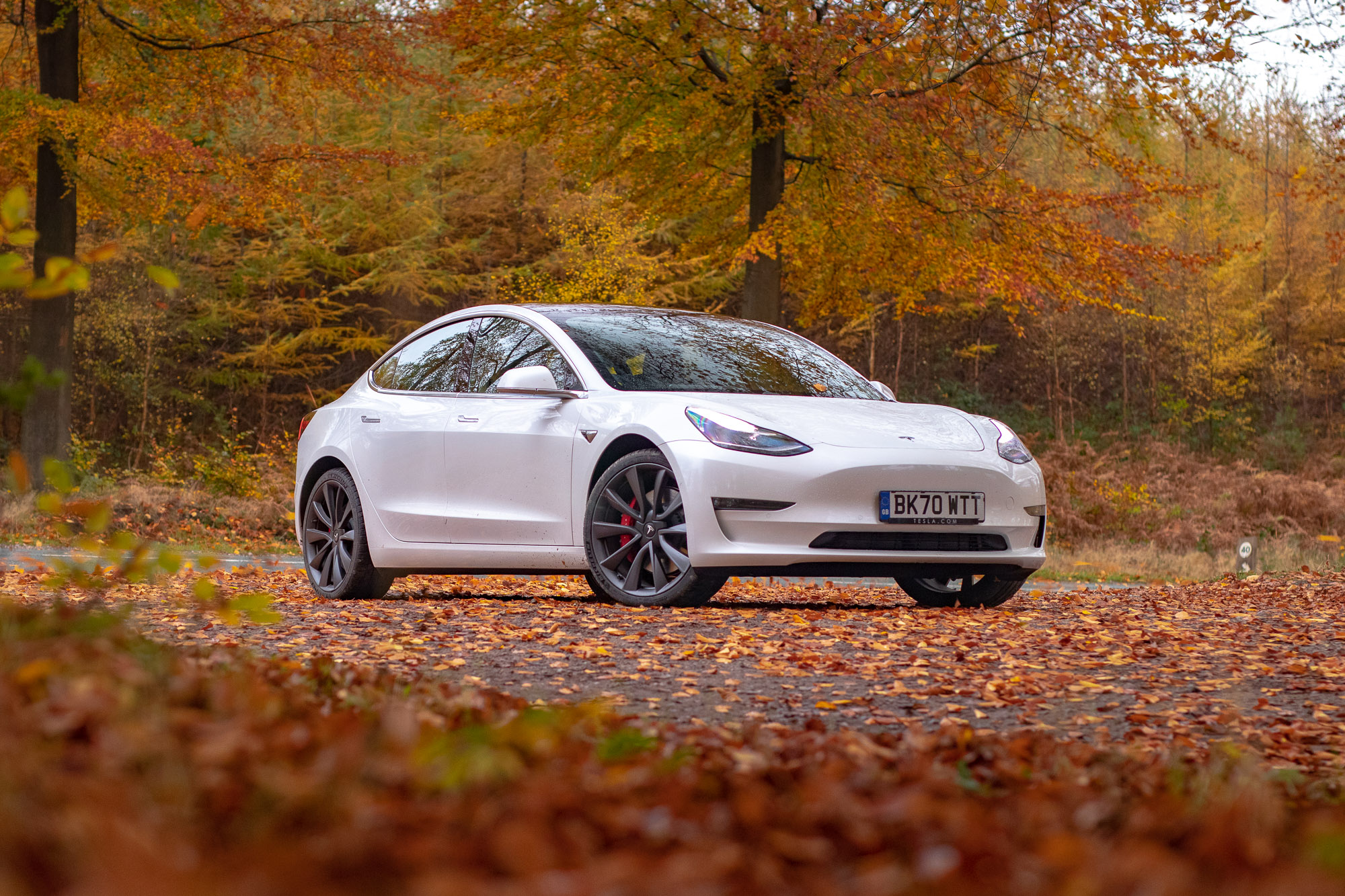 Waymo Vs Tesla 🏎️ What Are The Differences?